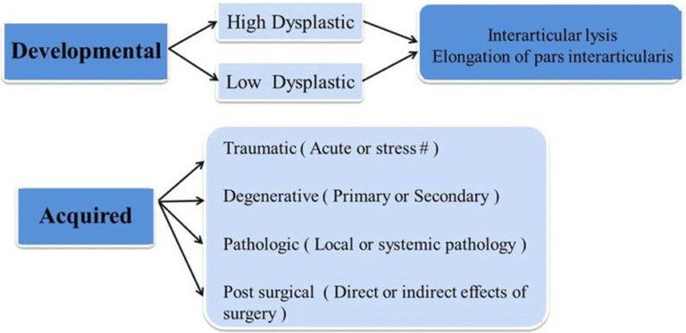 Spondylolisthesis, Spondylolysis, and Spondylosis: Key Differences